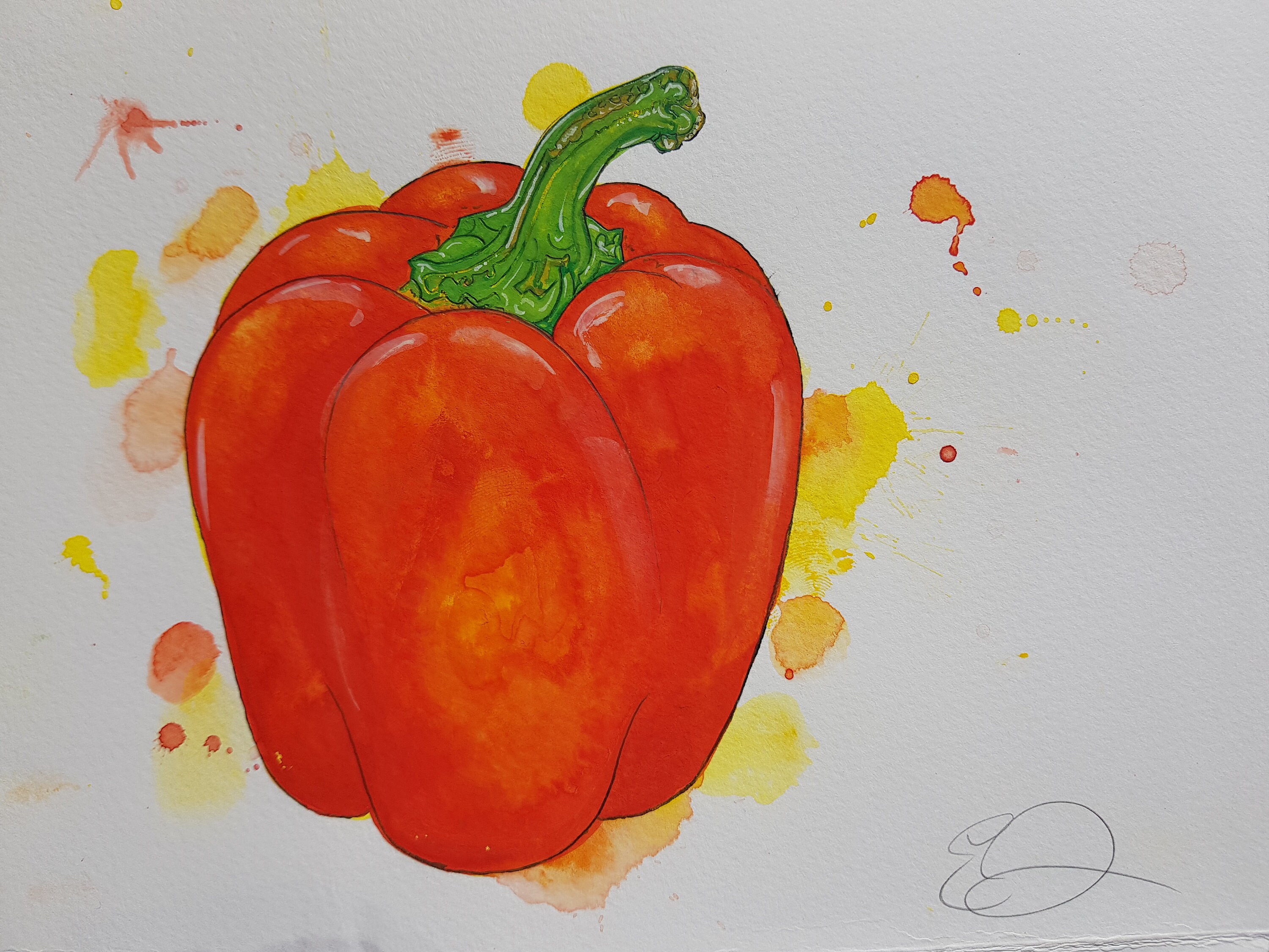 Red Pepper — Emma Dibben Illustration