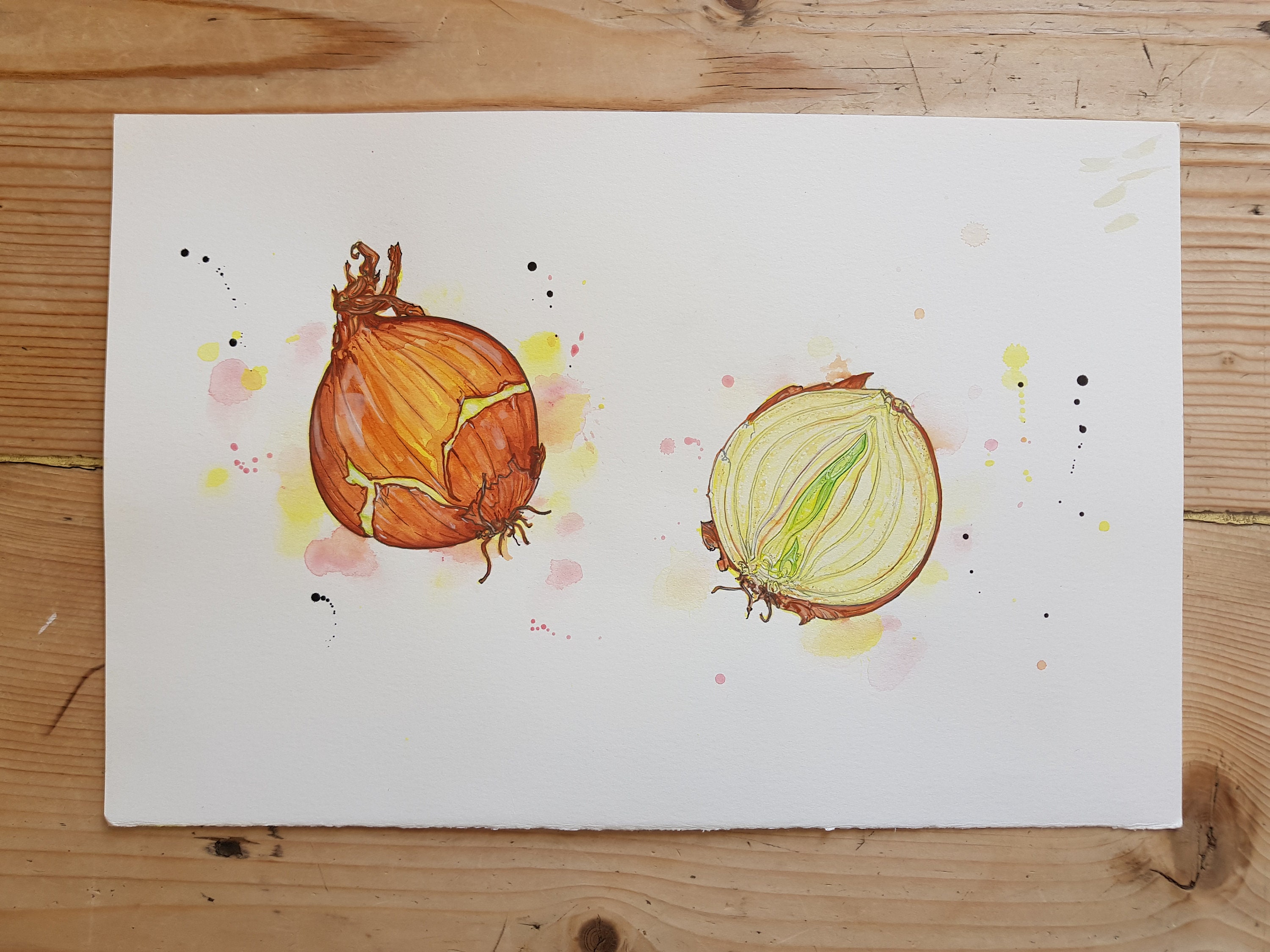 Onions — Emma Dibben Illustration