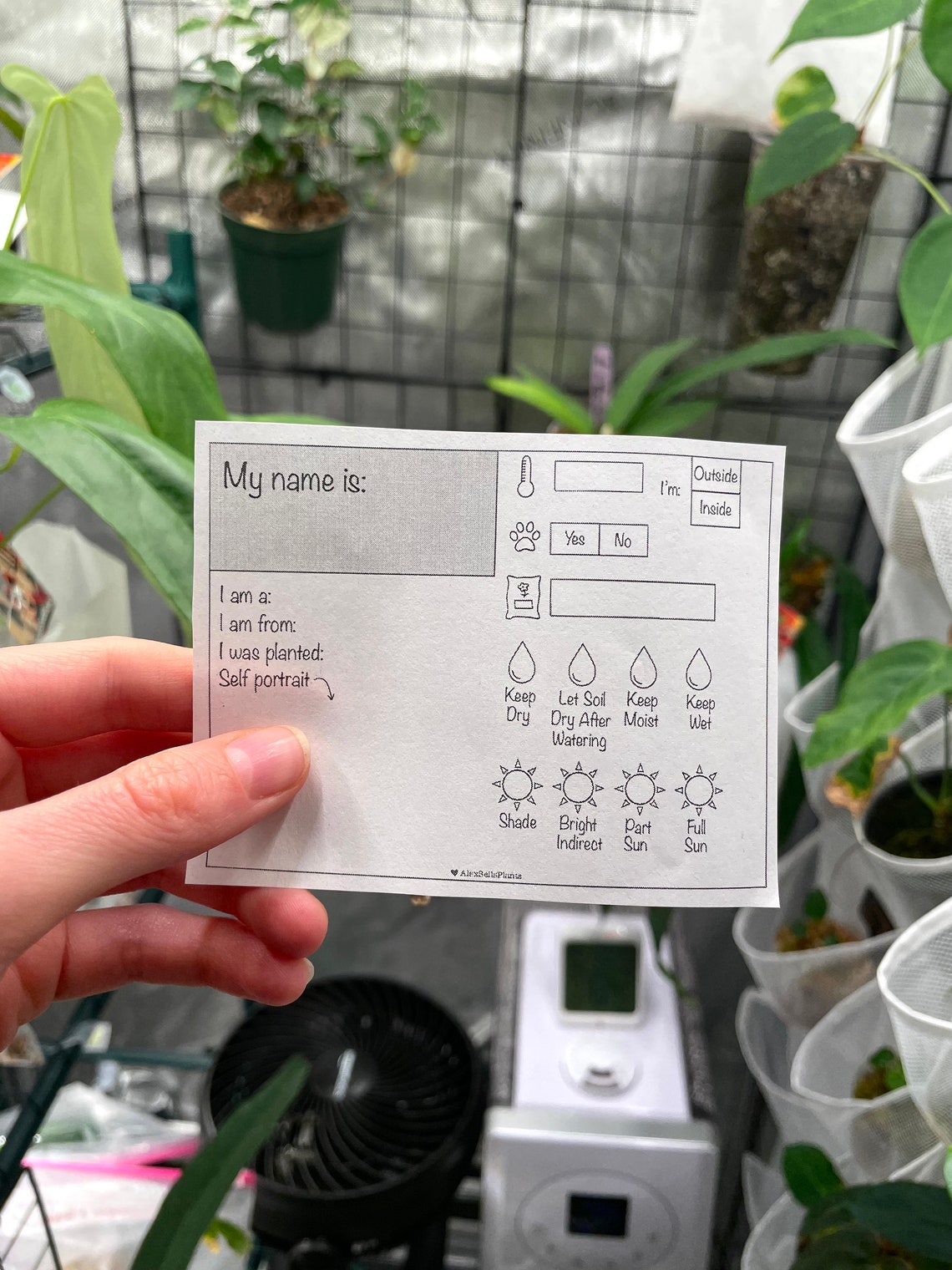 PLANT CARE Instruction Card, DIGITAL Care Card, Printable Plant Care ...