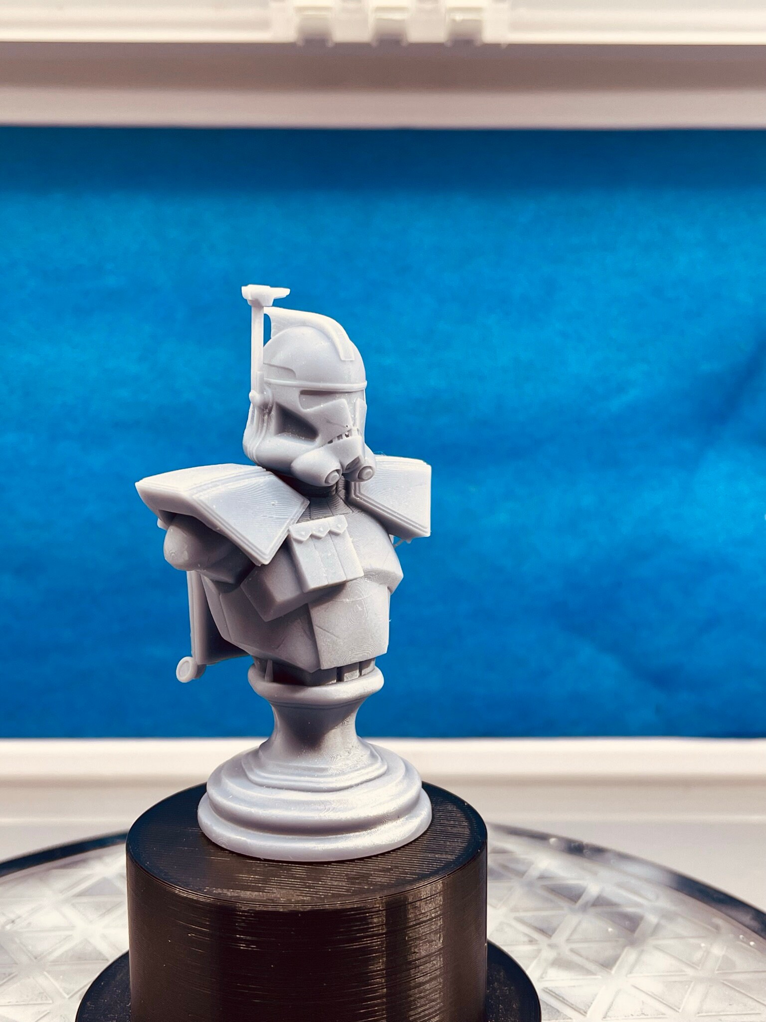 Captain Rex Bust - Etsy