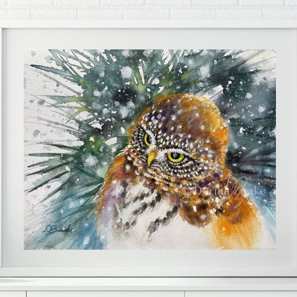 Pygmy Owl - Etsy
