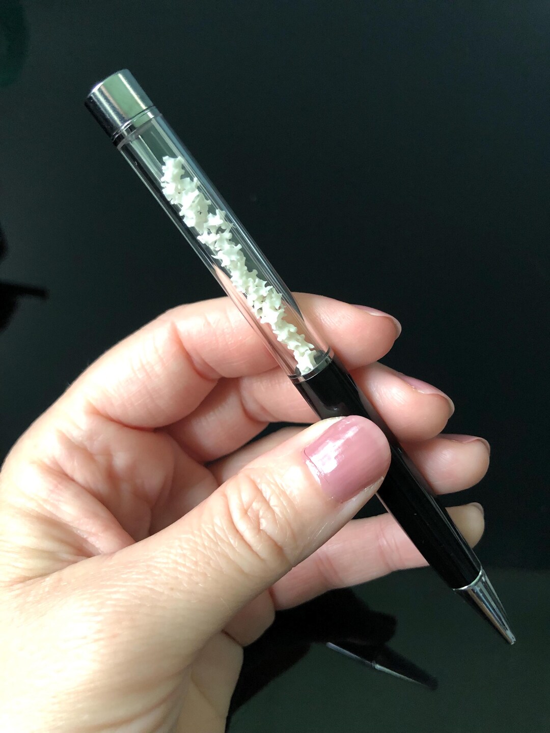 Pen Snake Bone (vertebrae) - Etsy