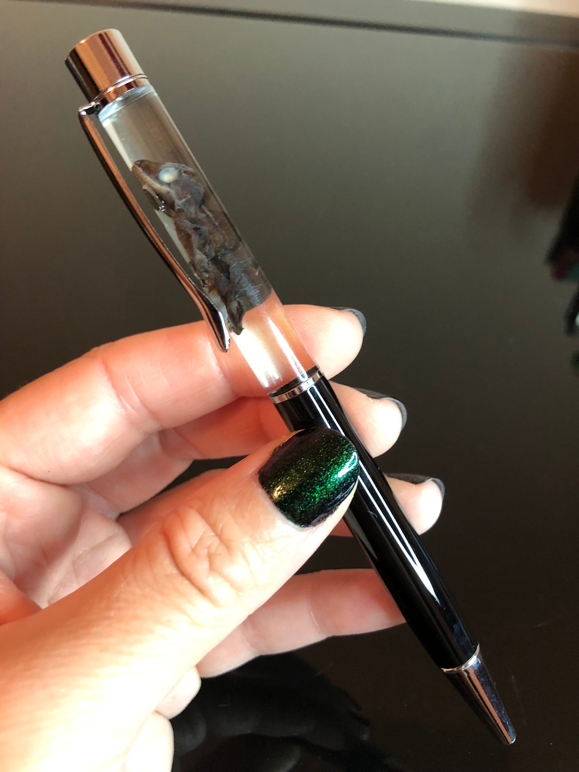 Wet Specimen Pen Rare gargoyle Gecko - Etsy