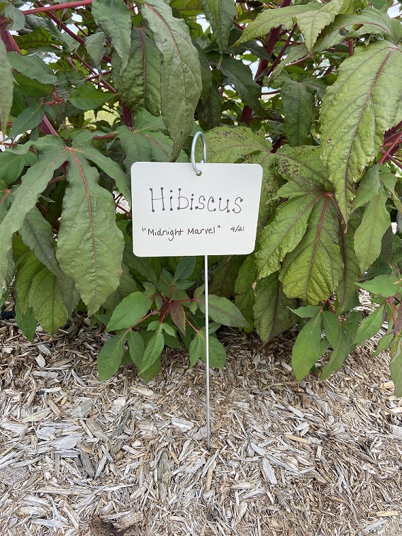 15" Tall Decorative Garden Label/plant Marker With Extra Large ...