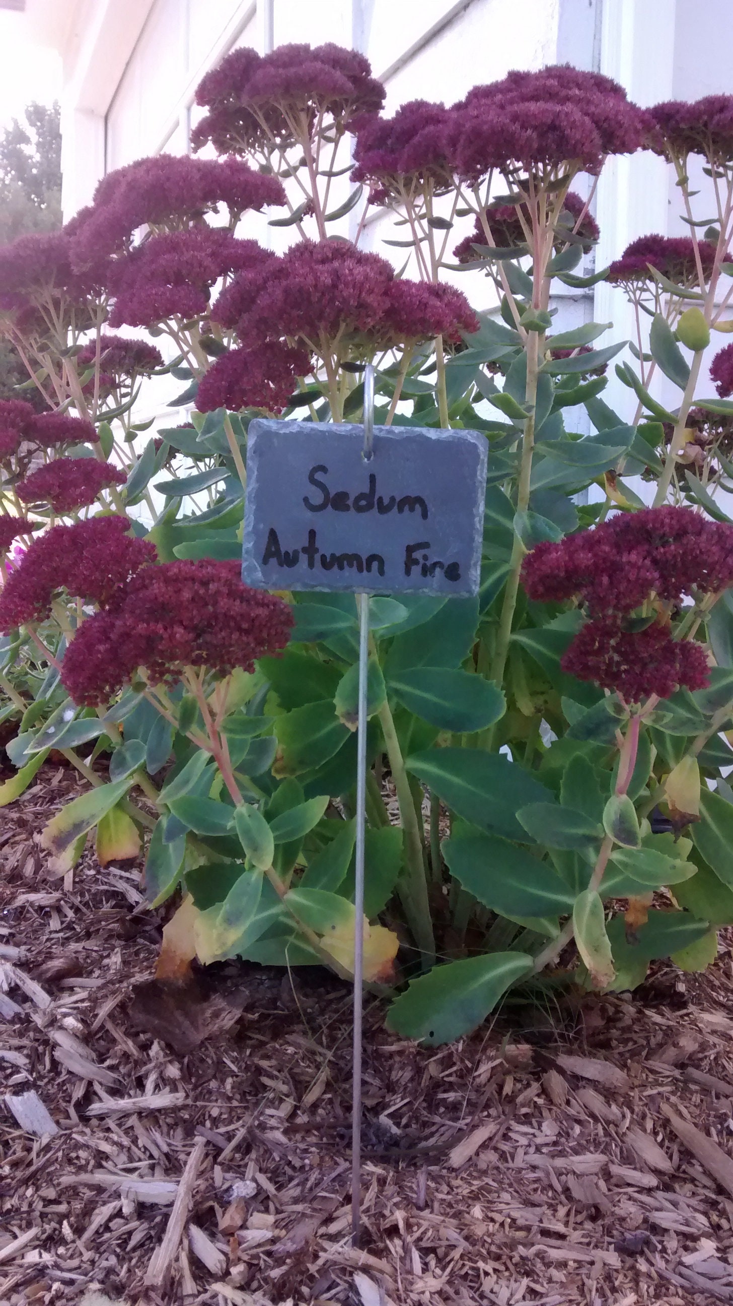 15 Tall Decorative Garden Label/plant Marker With Slate Nameplate 10 ...