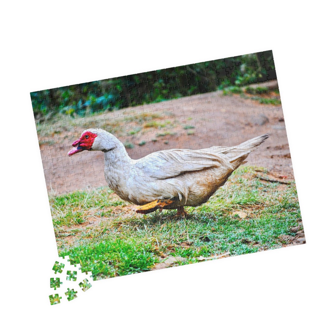 Muscovy Duck Color Puzzle 110, 252, 500, 1014-piece - Etsy