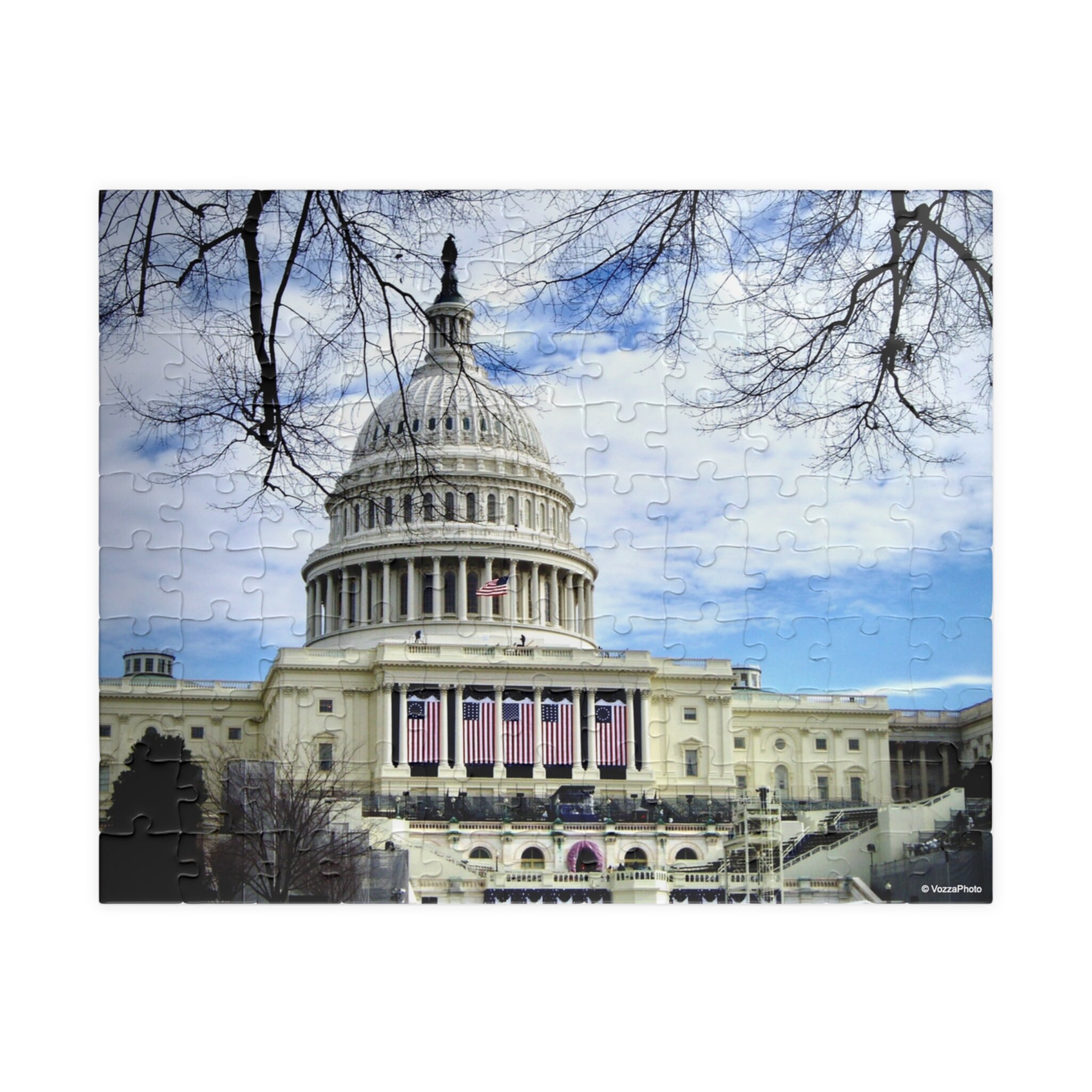 United States Capitol Building Washington DC Color Puzzle (110, 252 ...