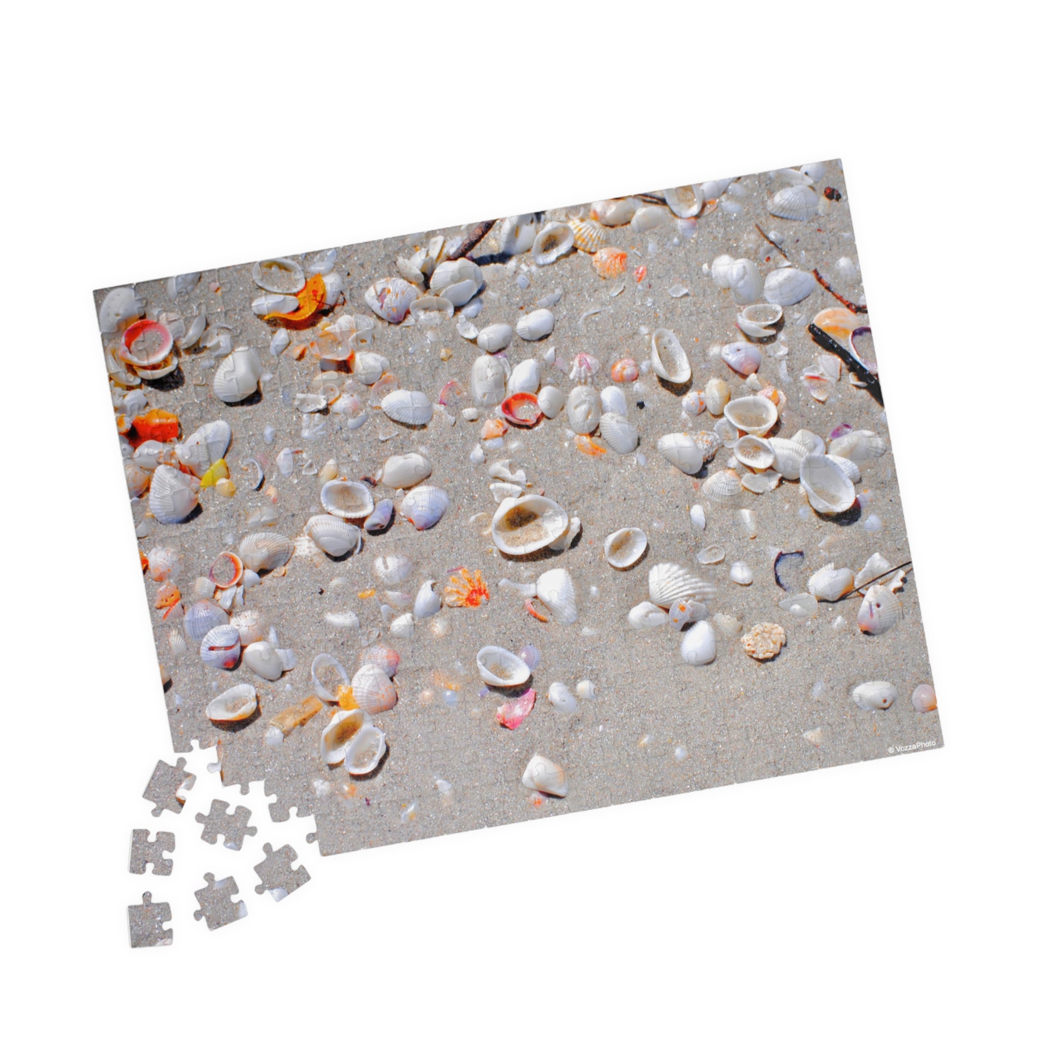 Beach Seashells Color Puzzle 110 252 500 1014-piece - Etsy