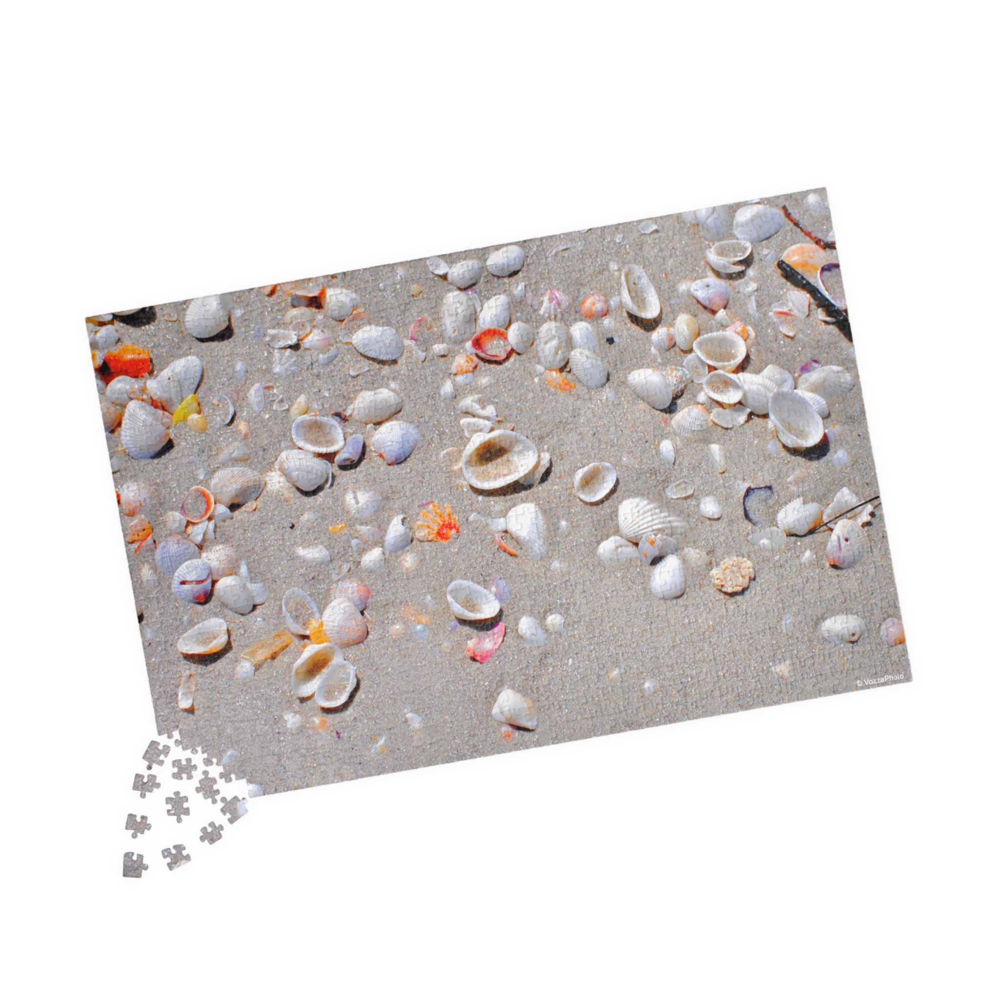 Beach Seashells Color Puzzle 110 252 500 1014-piece - Etsy