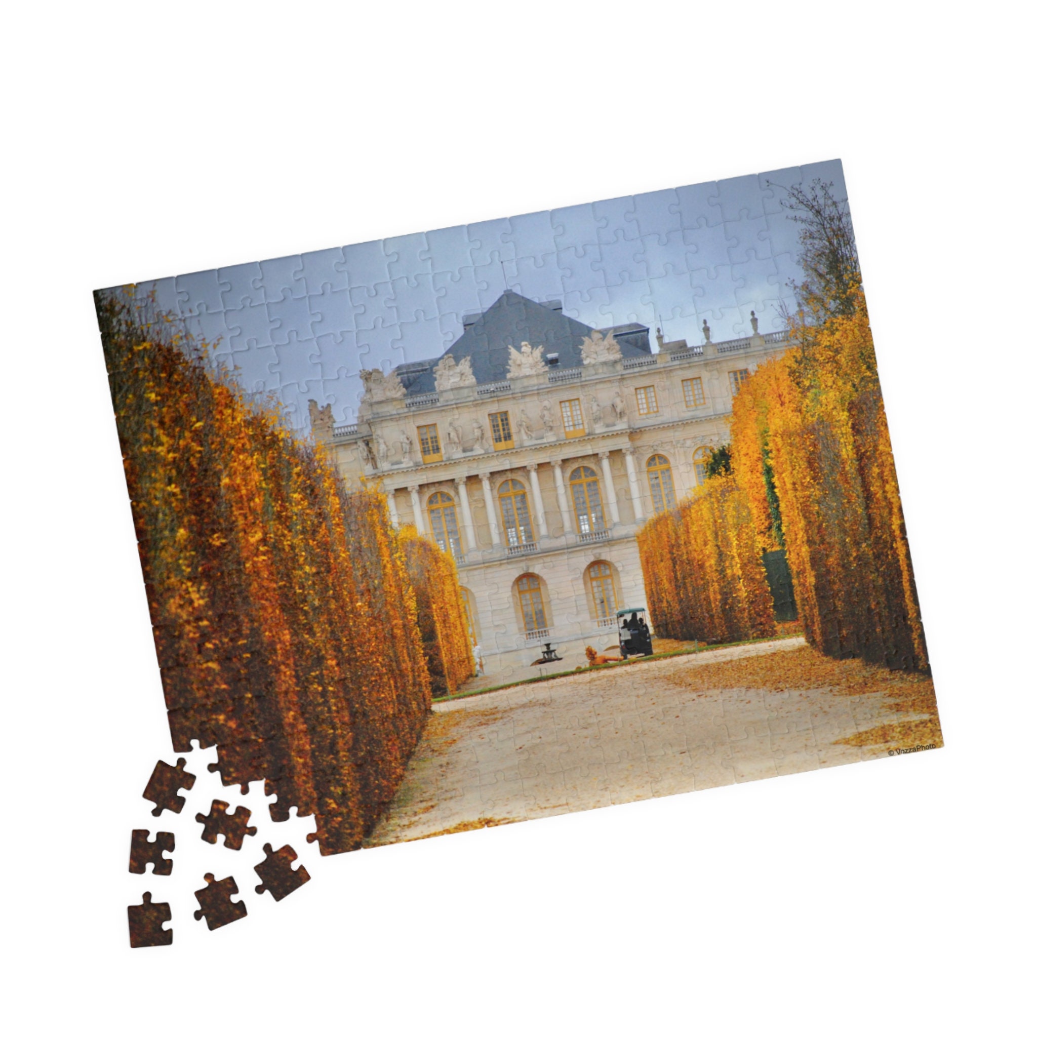 Palace of Versailles Autumn Versailles France Color Puzzle 110, 252 ...