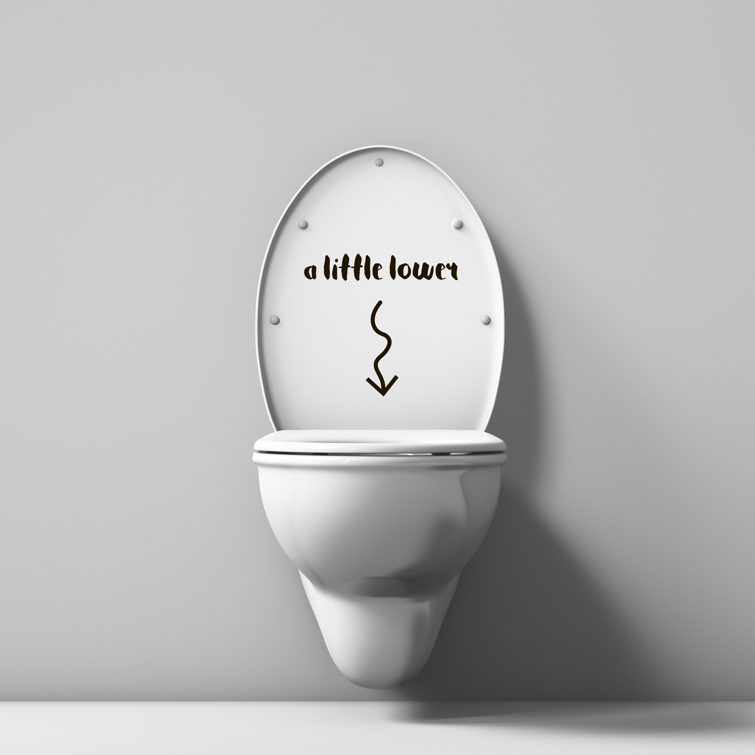 Toilet Vinyl Decal - Sign A Little Lower With Arrow - Funny Lid Sticker ...
