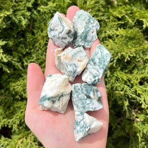 Tree Agate Raw Stones - Ethically Sourced From Botswana - A Grade 1-2 ...