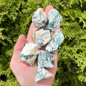 Tree Agate Raw Stones - Ethically Sourced From Botswana - A Grade 1-2 ...