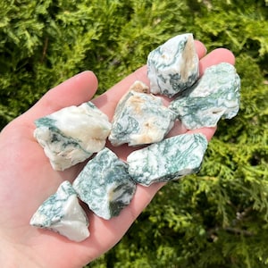 Tree Agate Raw Stones - Ethically Sourced From Botswana - A Grade 1-2 ...