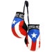 Puerto Rico Flag Hanging Mini Boxing Gloves Car Rican Souvenirs - Etsy