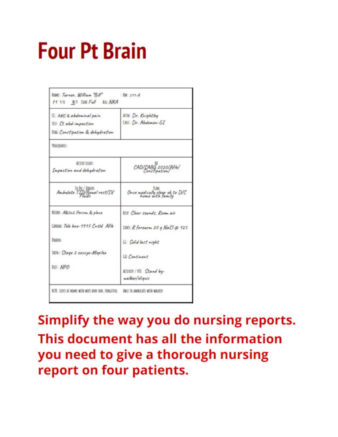 4 Patient Nursing Report Sheet - Etsy