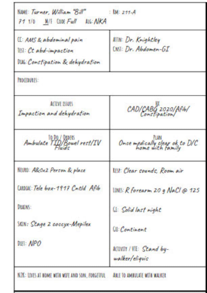 4 Patient Nursing Report Sheet - Etsy