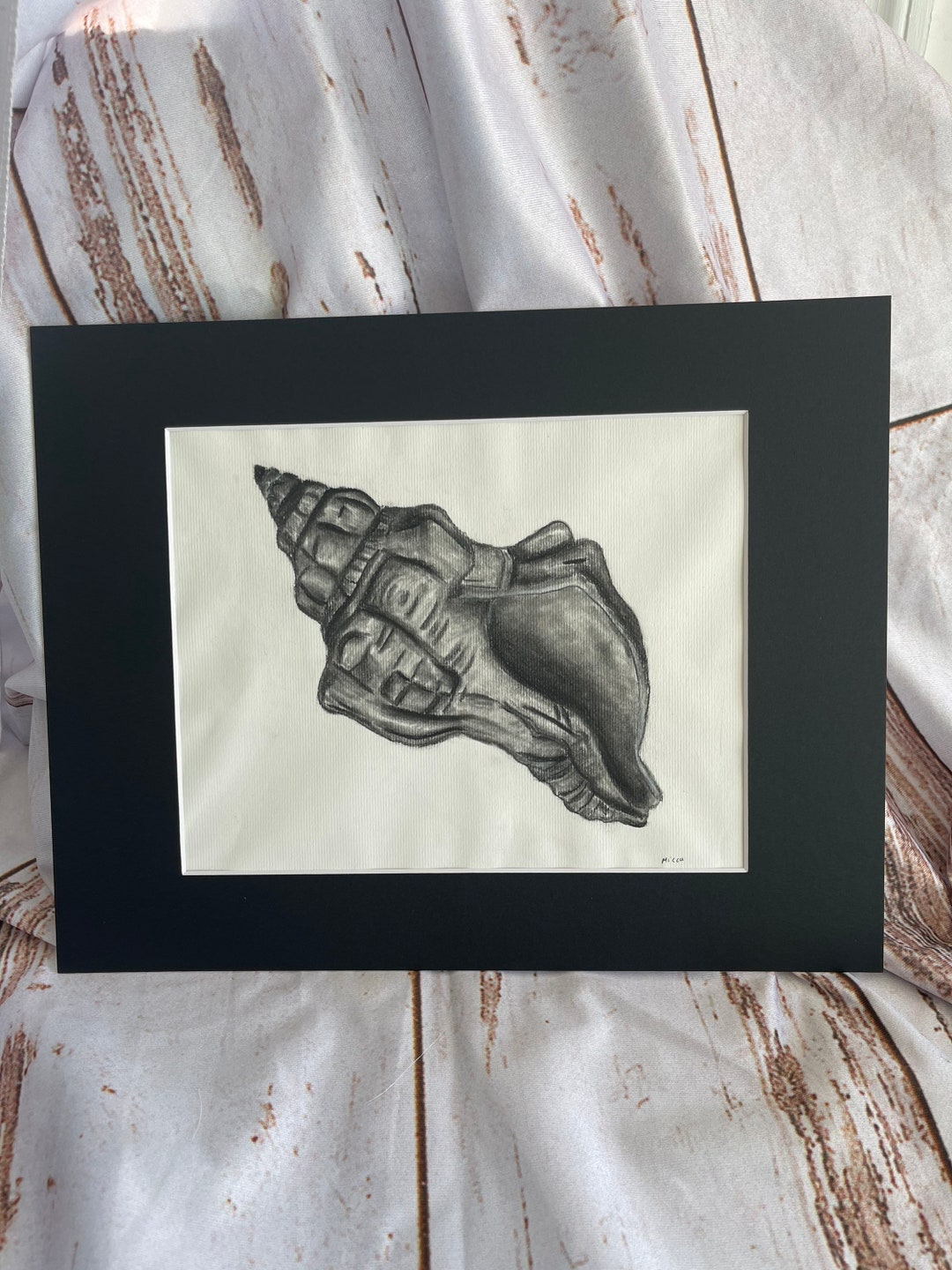 Seashell Charcoal Drawing - Etsy
