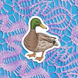Mallard Duck Sticker | Wildlife Bird Decal | Cute Waterfowl Duck ...