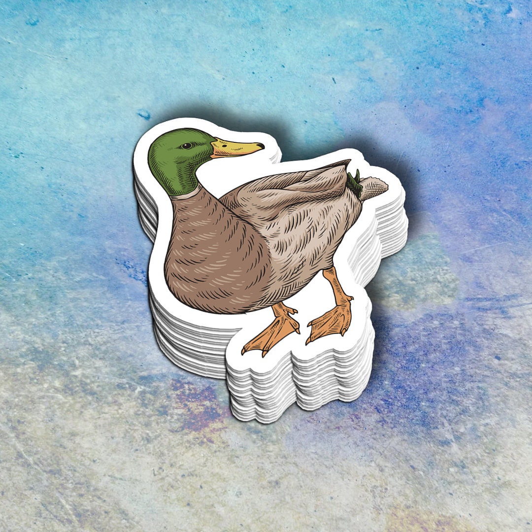 Mallard Duck Sticker | Wildlife Bird Decal | Cute Waterfowl Duck ...