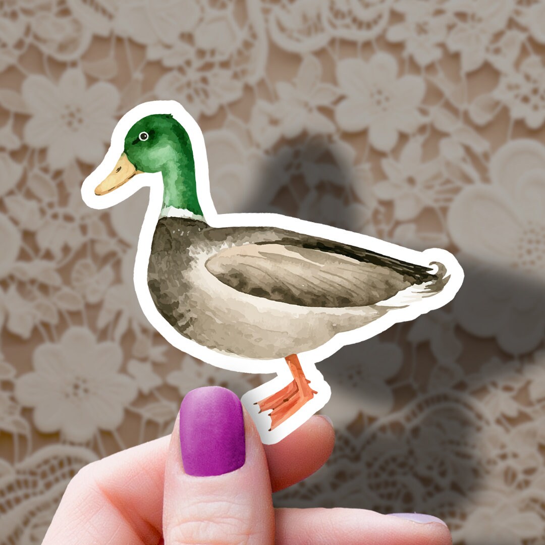 Mallard Duck Sticker Wildlife Bird Decal Cute Waterfowl Duck Nature ...