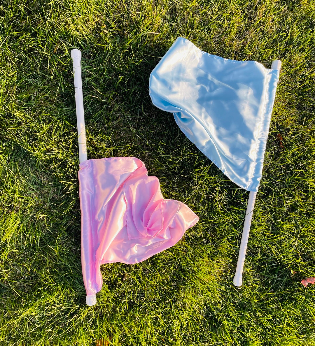 Mini Guard Flag (3ft) - Etsy