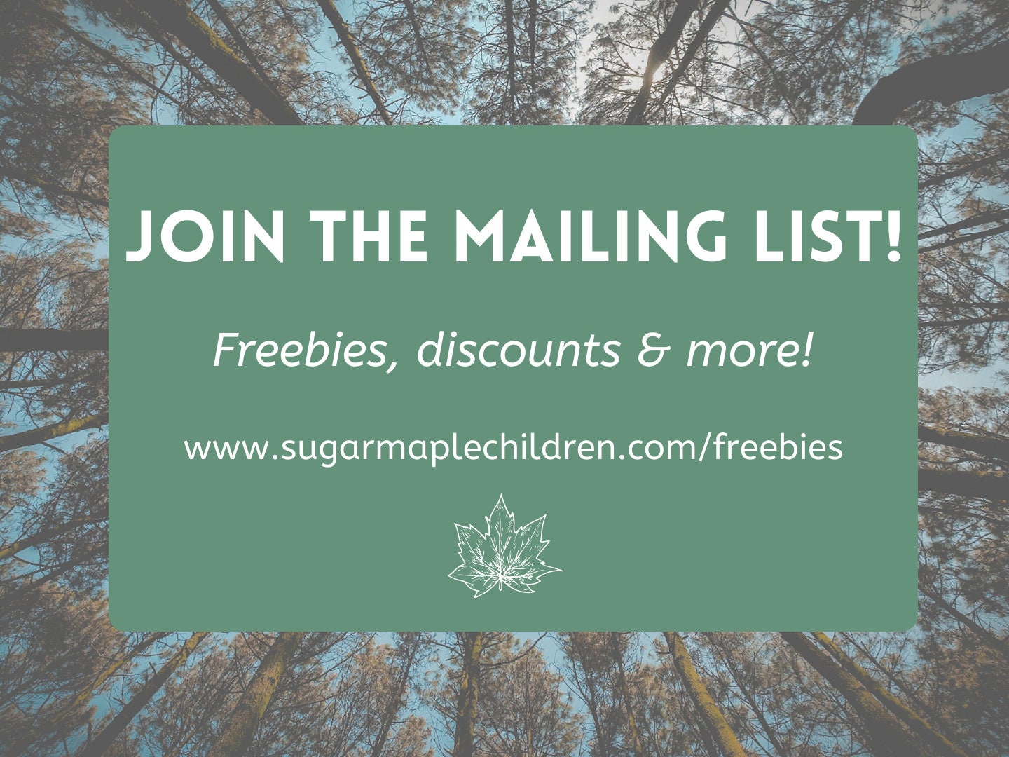 Vernal Pool Common Species Bingo & Memory Games Montessori Inspired ...