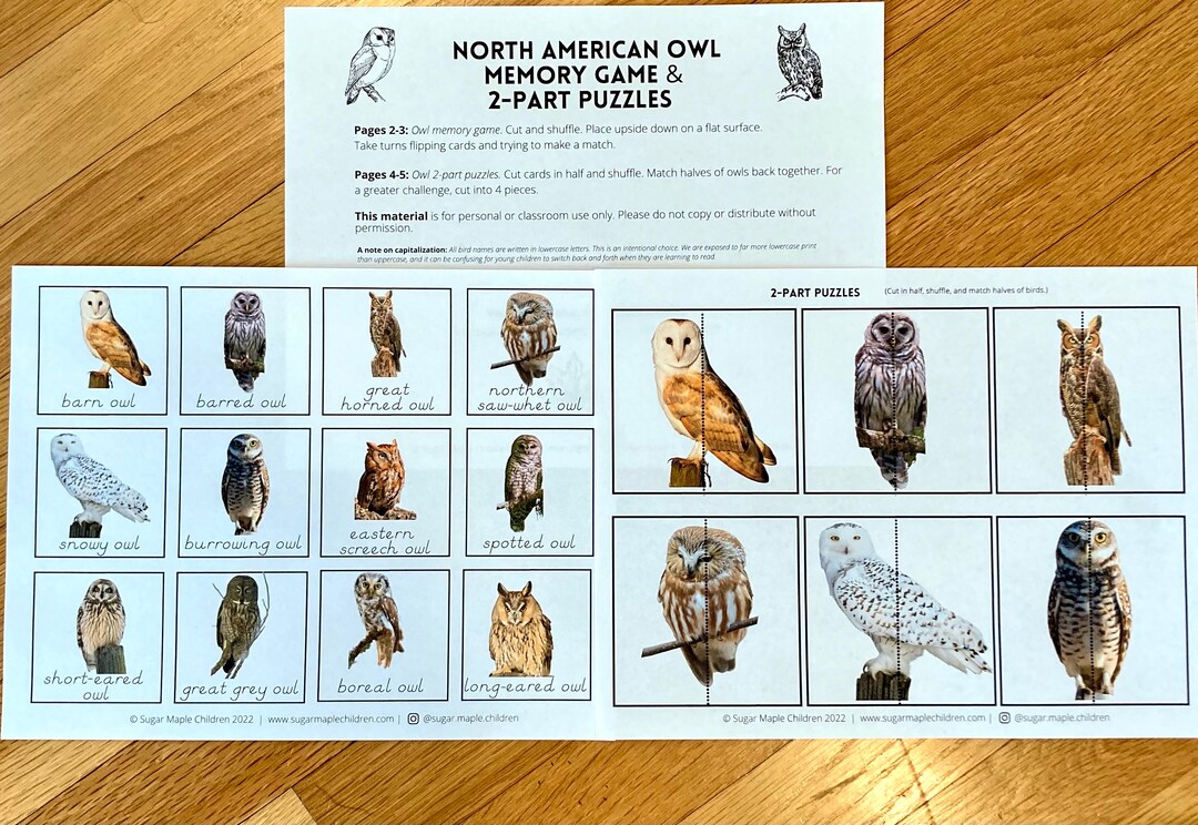 Owls of North America -- Montessori Inspired, Preschool and Elementary ...