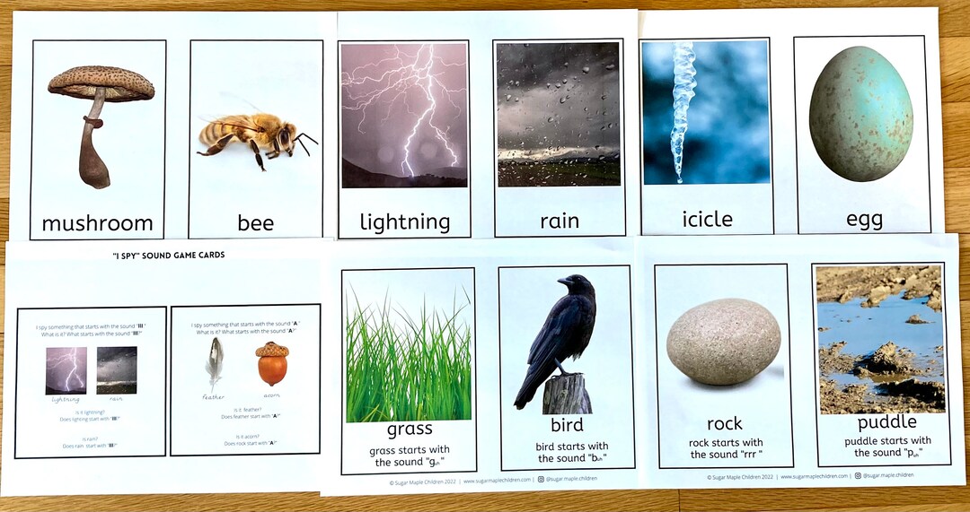 Nature Vocabulary and Sound Game Cards -- Montessori Inspired ...