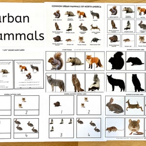 Urban Mammals of North America -- Montessori Inspired, Preschool and ...
