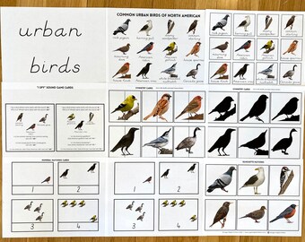 Urban Mammals of North America Montessori Inspired - Etsy