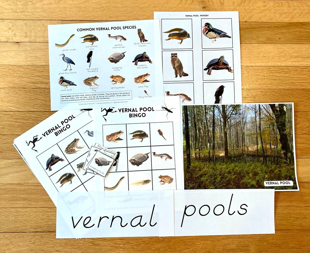 Vernal Pool Common Species Bingo & Memory Games -- Montessori Inspired ...