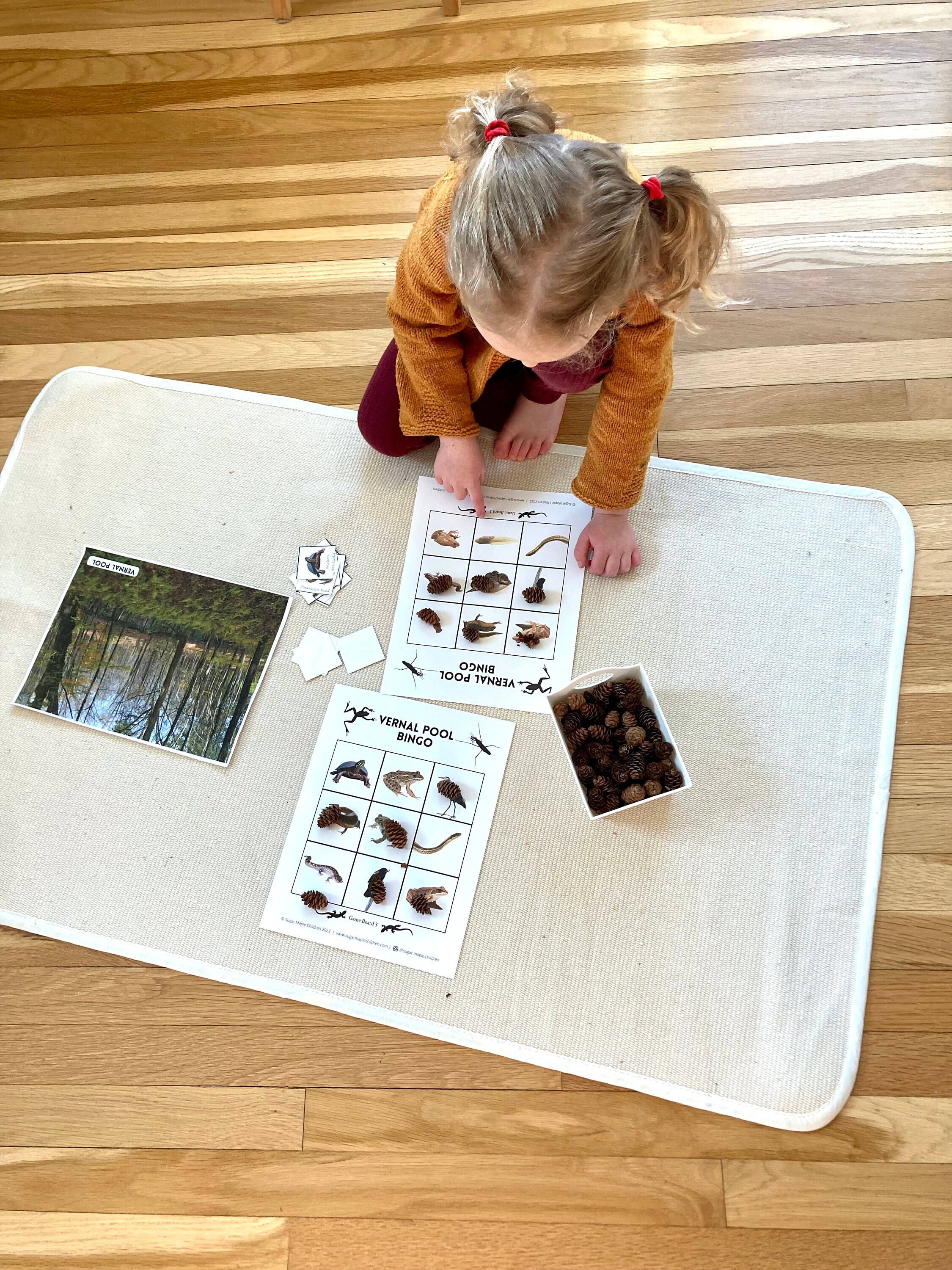 Vernal Pool Common Species Bingo & Memory Games -- Montessori Inspired ...