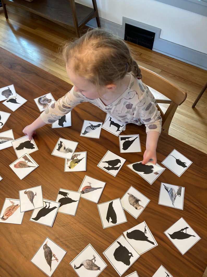 Urban Birds of North America Montessori Inspired, Preschool and ...