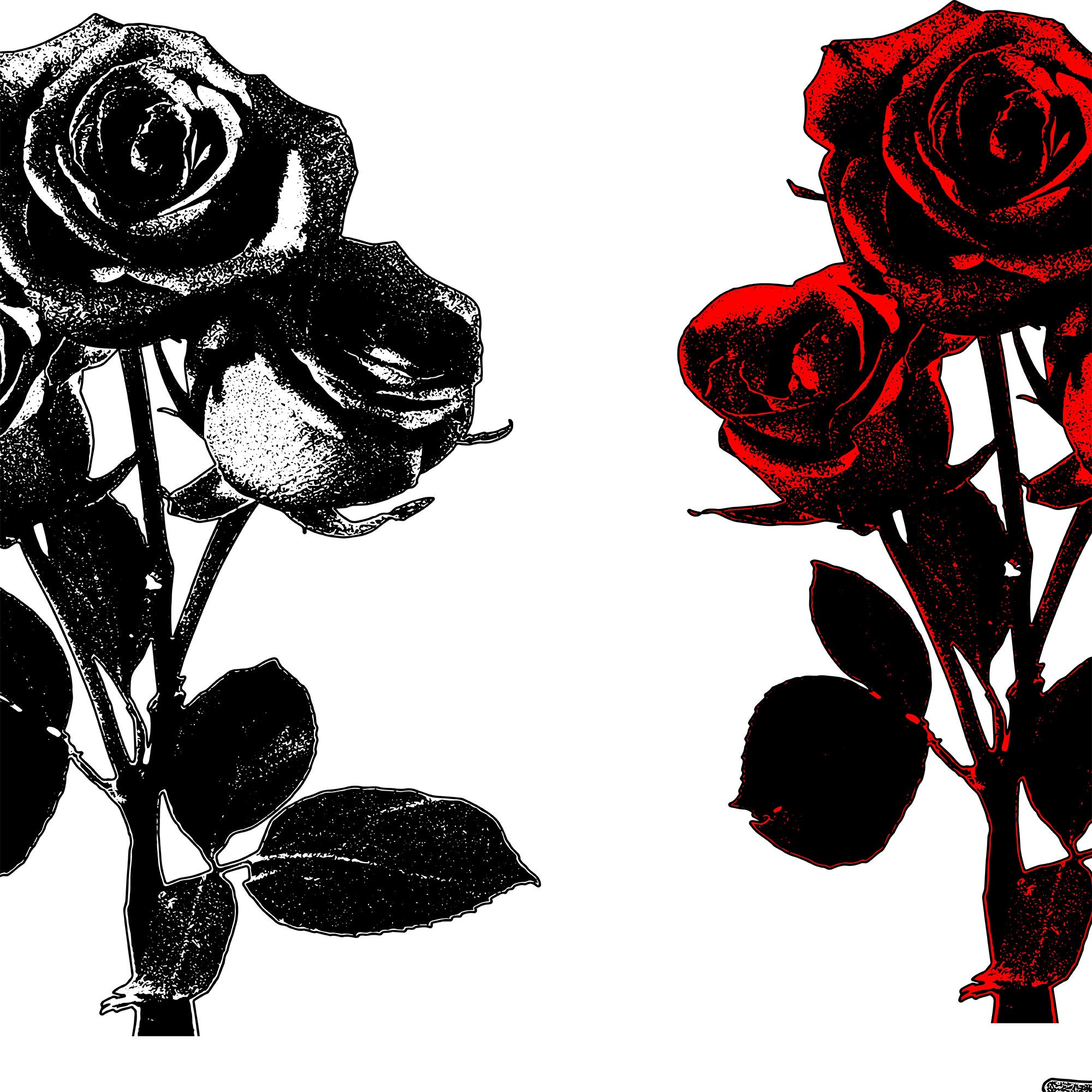 The Rose Pack, Rose SVG, Rose Bundle, Canva Rose, Rose Vector, Vector ...