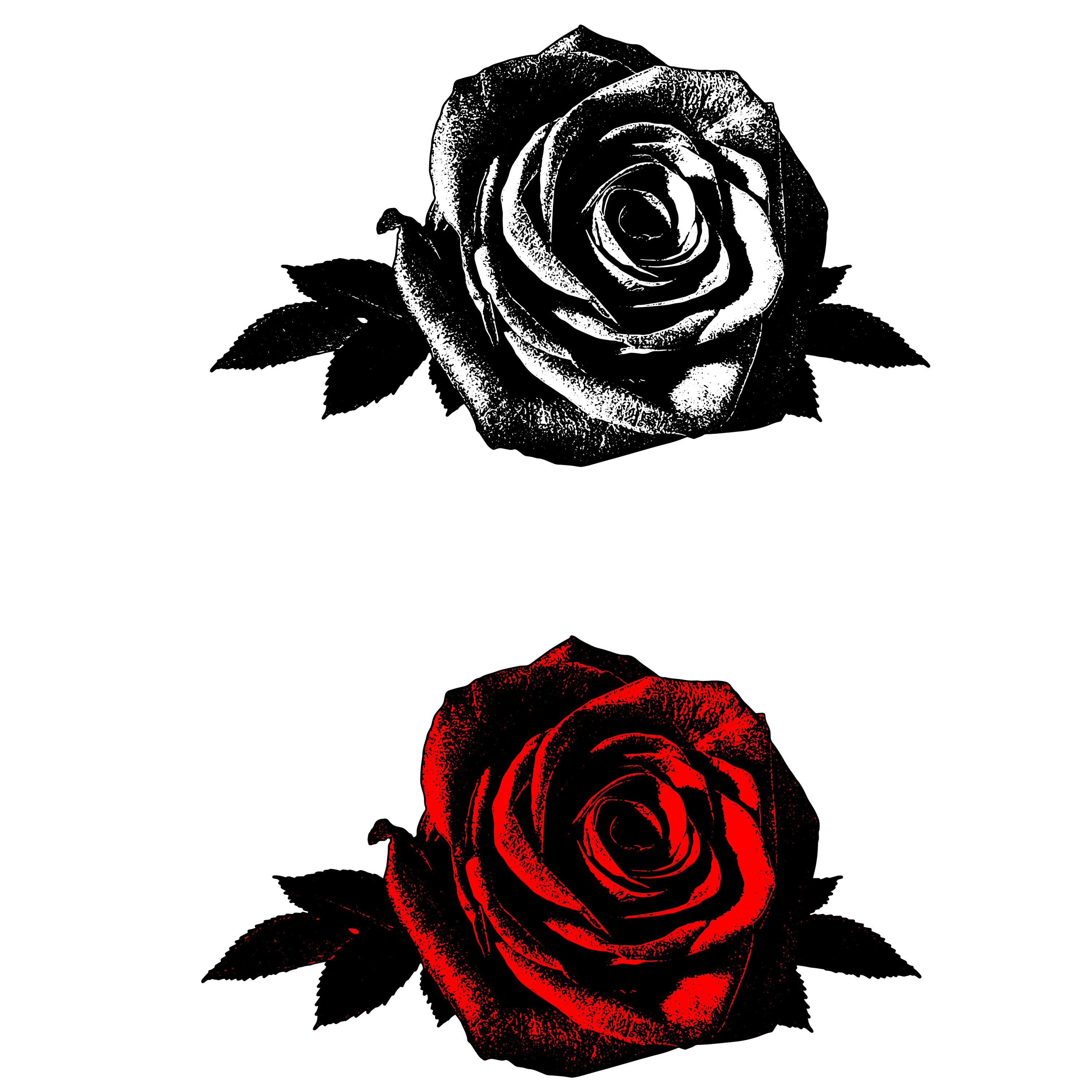 The Rose Pack, Rose SVG, Rose Bundle, Canva Rose, Rose Vector, Vector ...