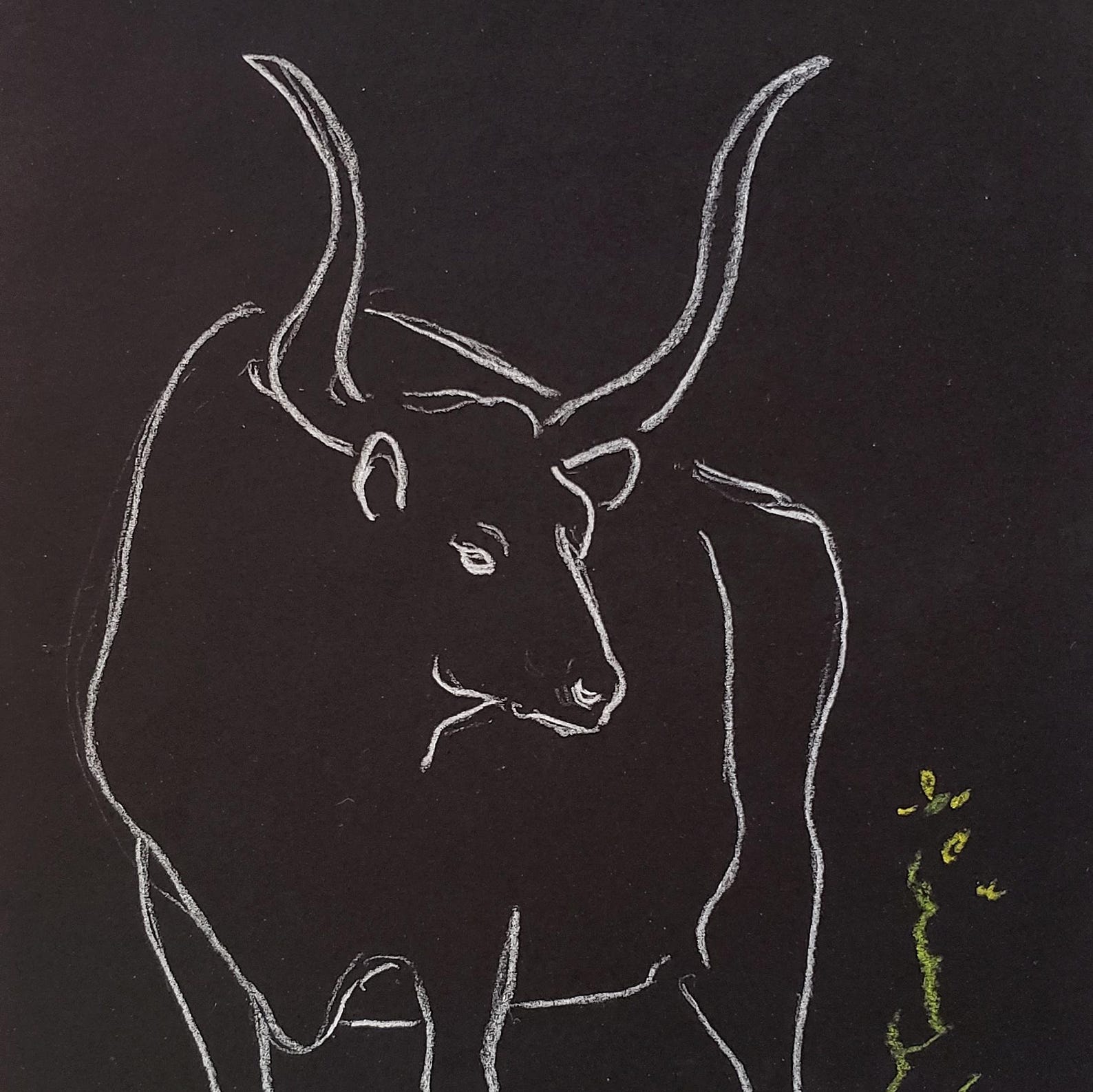 Handmade Cow Chalk Line Art on Black, Minimalist Animal Drawing - Etsy