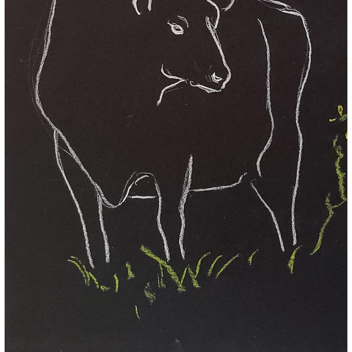 Handmade Cow Chalk Line Art on Black, Minimalist Animal Drawing - Etsy