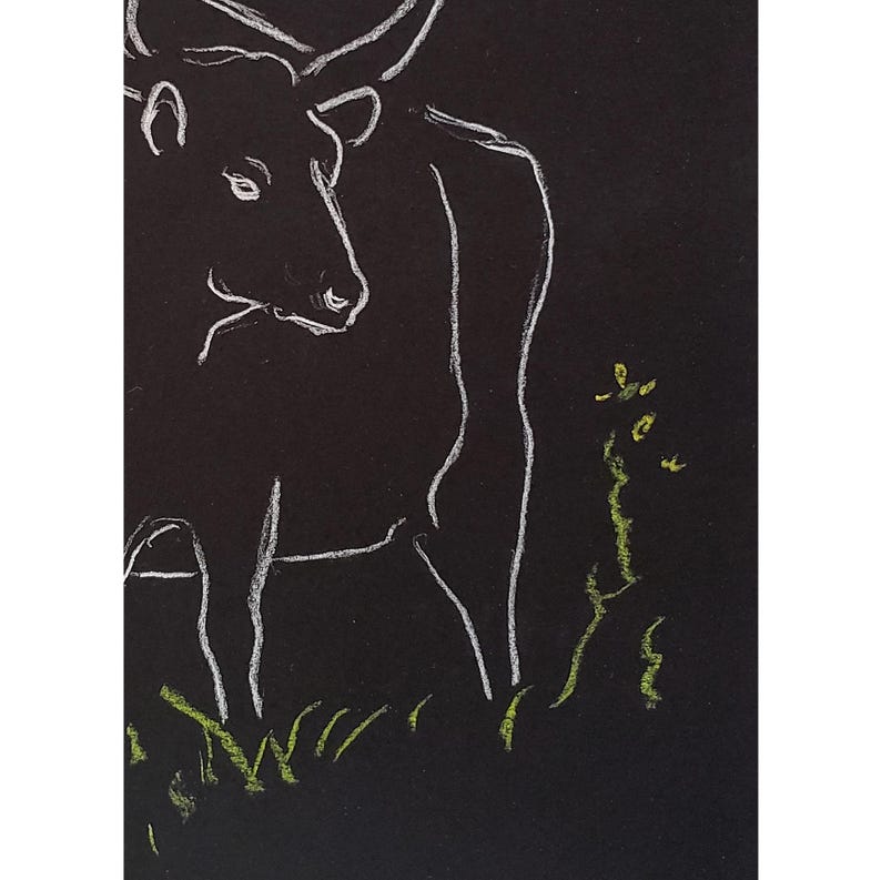 Handmade Cow Chalk Line Art on Black, Minimalist Animal Drawing - Etsy