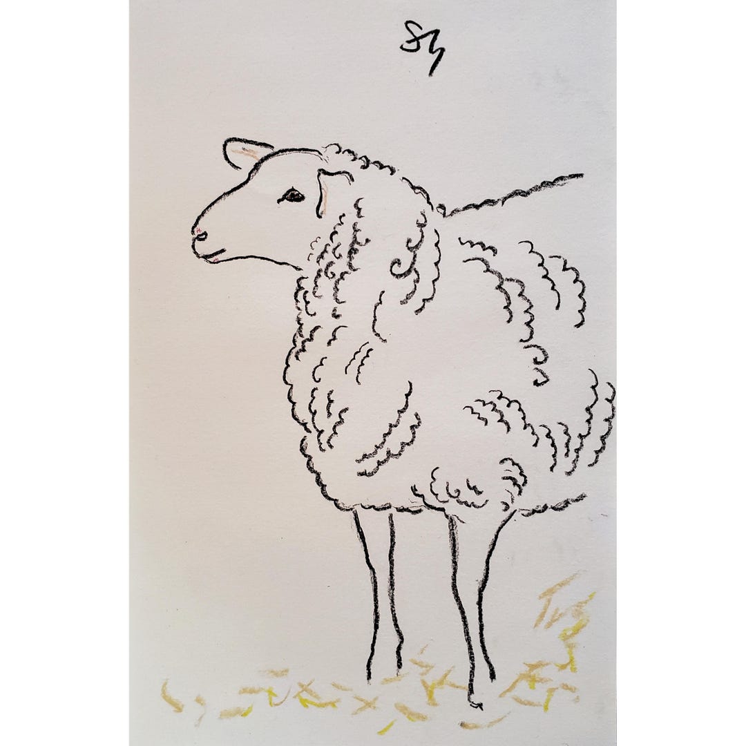 Handmade Sheep Line Art, Simple Chalk Animal Drawing - Etsy