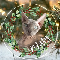 Sphynx Cat - Etsy