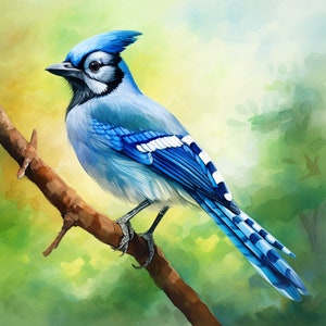 Watercolor Print, Bluejay Set, Bird, Printable Wall Art, Printable Art ...