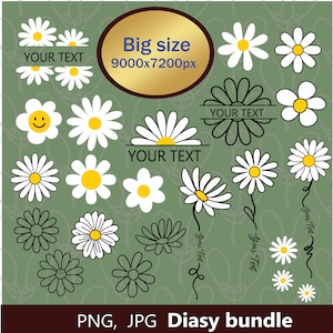 Daisy Png and Jpg, Big Size, Simple Daisy Png, Daisy Monogram, Daisy ...