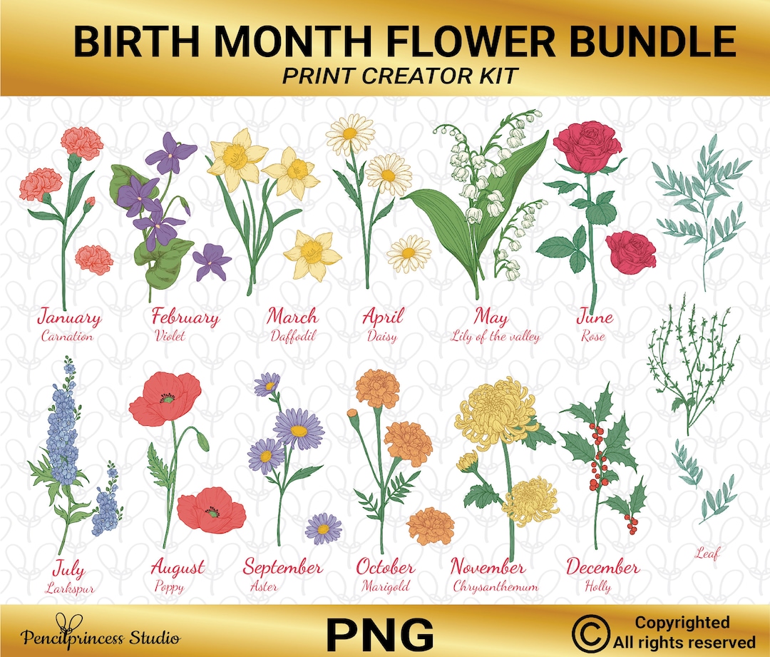 Birth Flower Png, Birth Month Flowers Png, Birth Month Bundle, Birth ...