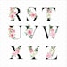 Floral Alphabet, Watercolor Floral Alphabet, Floral Alphabet, Floral ...