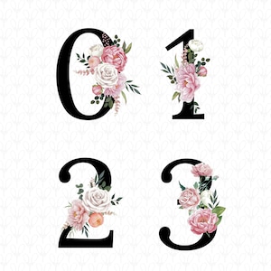 Commercial Use, Floral Numbers, Watercolor Floral Numbers, Floral ...