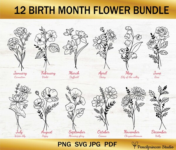 Set of 12 Dainty Floral Svg, Dainty Leaf Svg, Minimalist Flower Svg ...