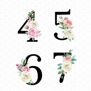 Commercial Use, Floral Numbers, Watercolor Floral Numbers, Floral ...
