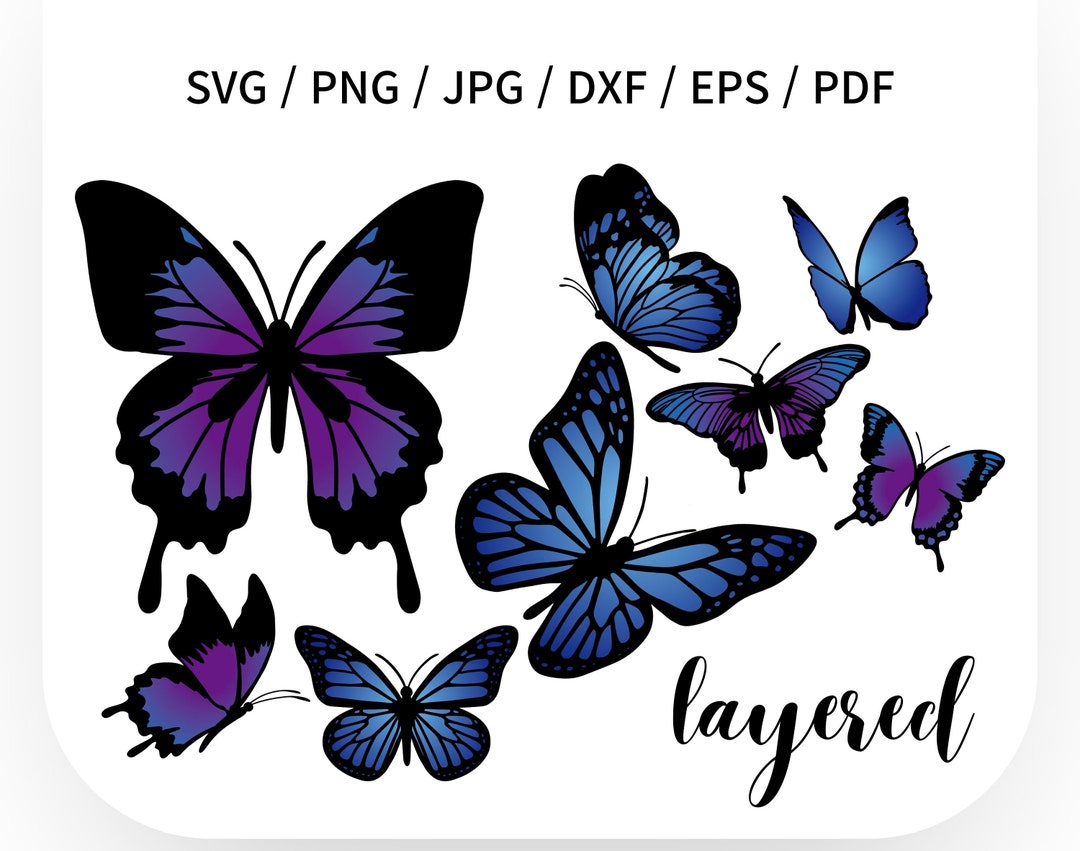 Commercial Use, Butterfly Clipart, Popular Svg, Butterfly Svg ...