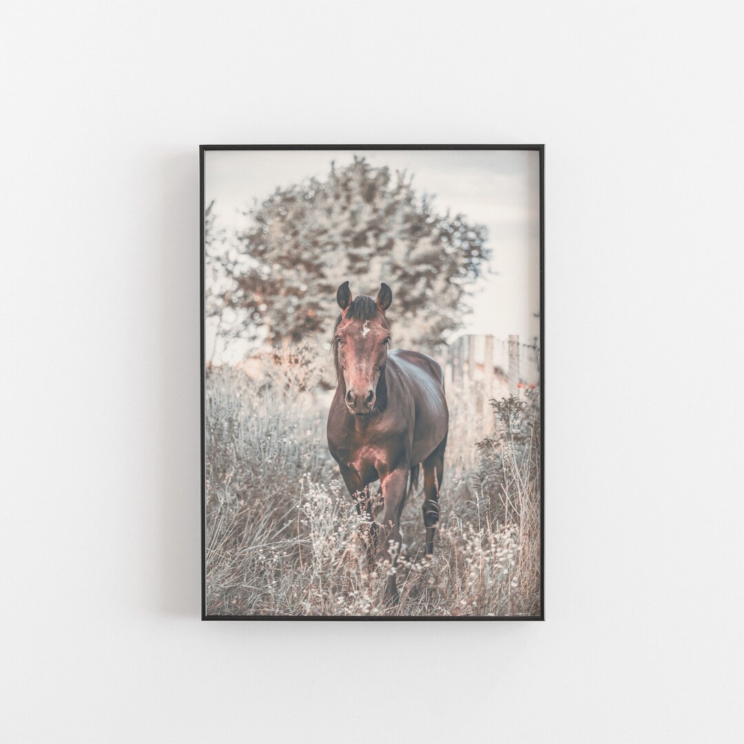 Pferde Poster für Pferdemädchen Pferde Geschenk für Mädchen - Etsy.de